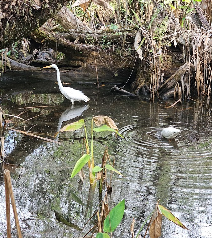 Barry University Students Gain Insight into Environmental Stewardship ...
